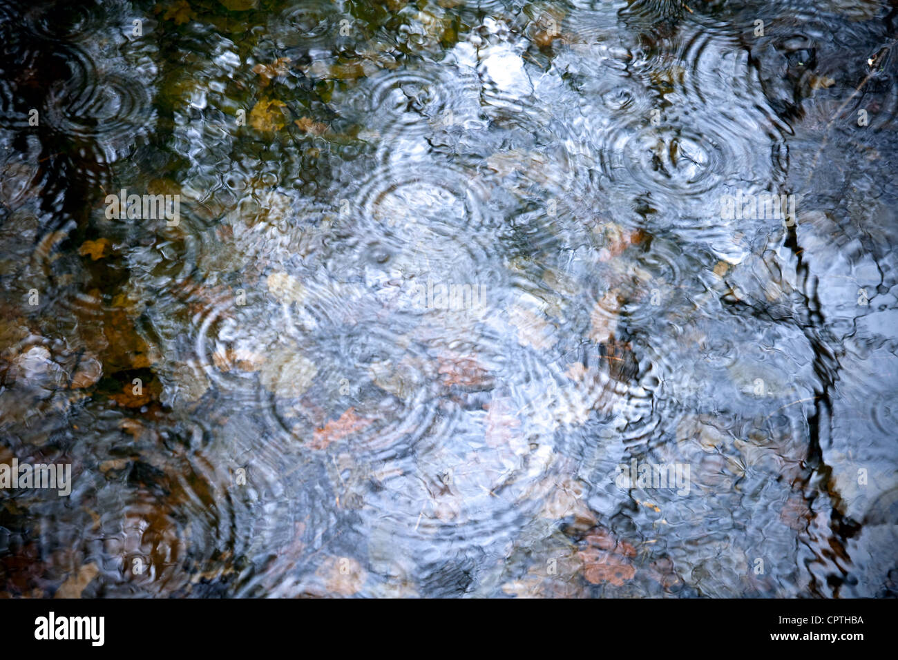 Raindrops on the autumnal pond water Stock Photo - Alamy