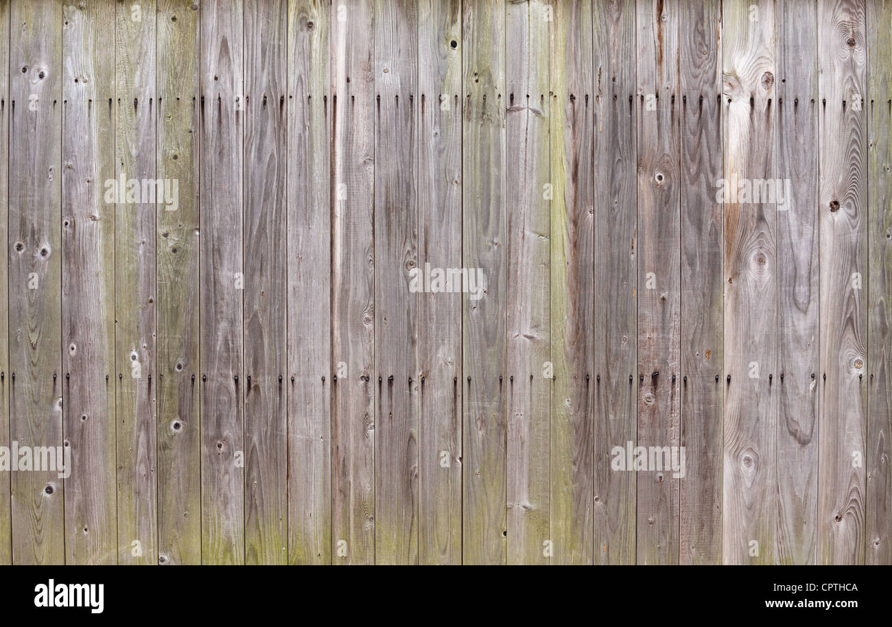 Texture of gray weathered wooden lining boards Stock Photo - Alamy
