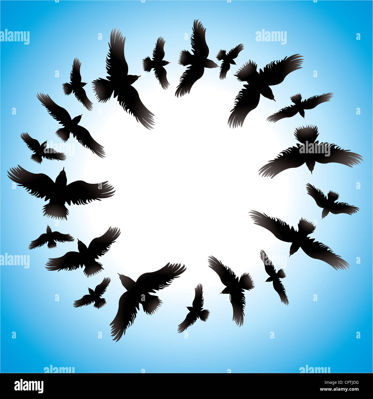 Design with birds Stock Photo - Alamy