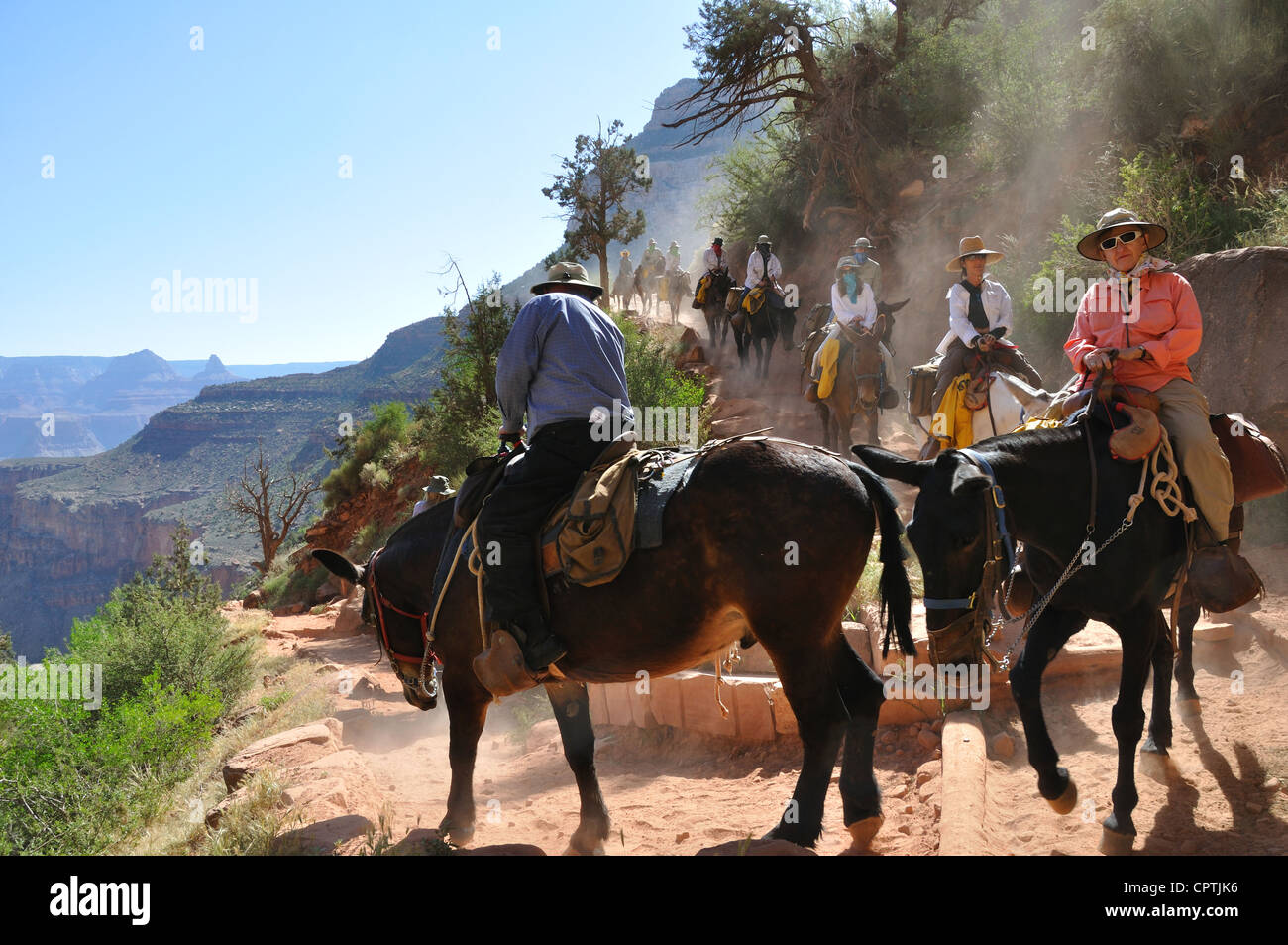 Mule ride, Bright Angel trail, Grand Canyon National Park, Arizona, USA ...
