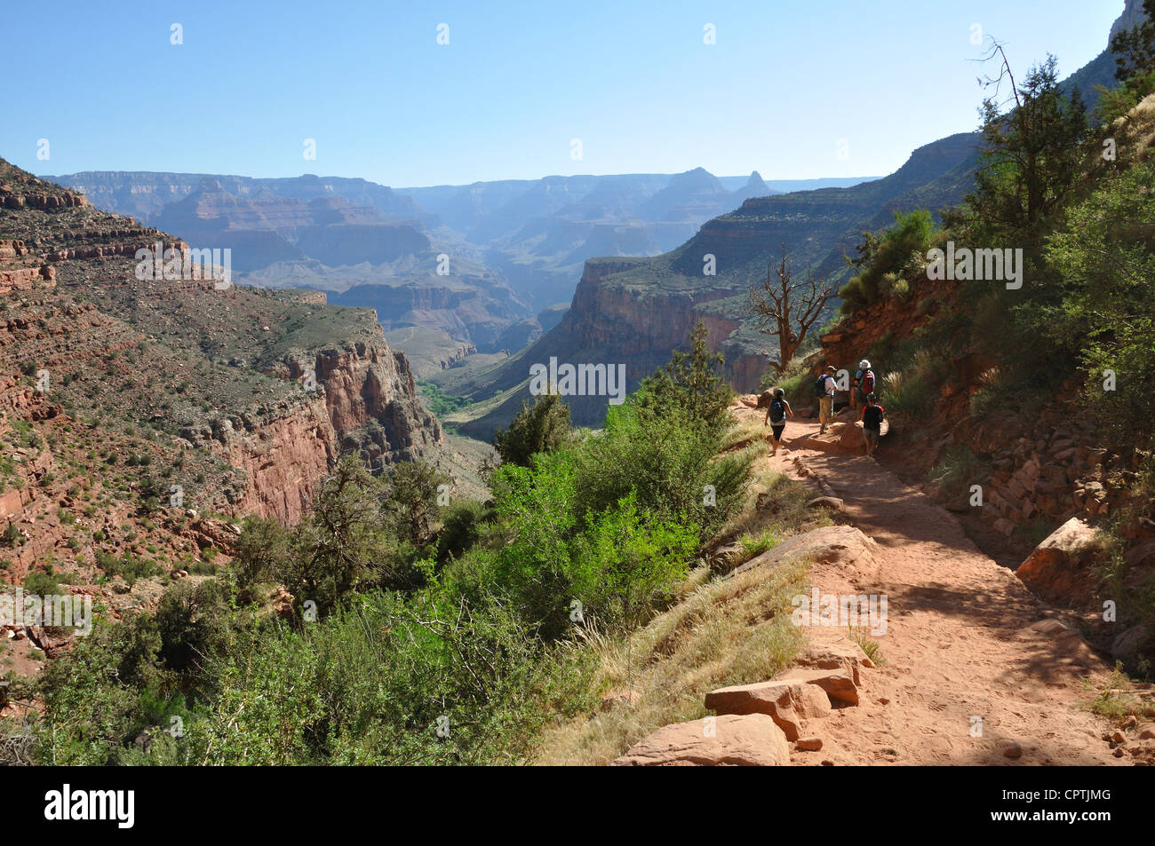 Bright Angel trail, Grand Canyon, Arizona, USA Stock Photo - Alamy