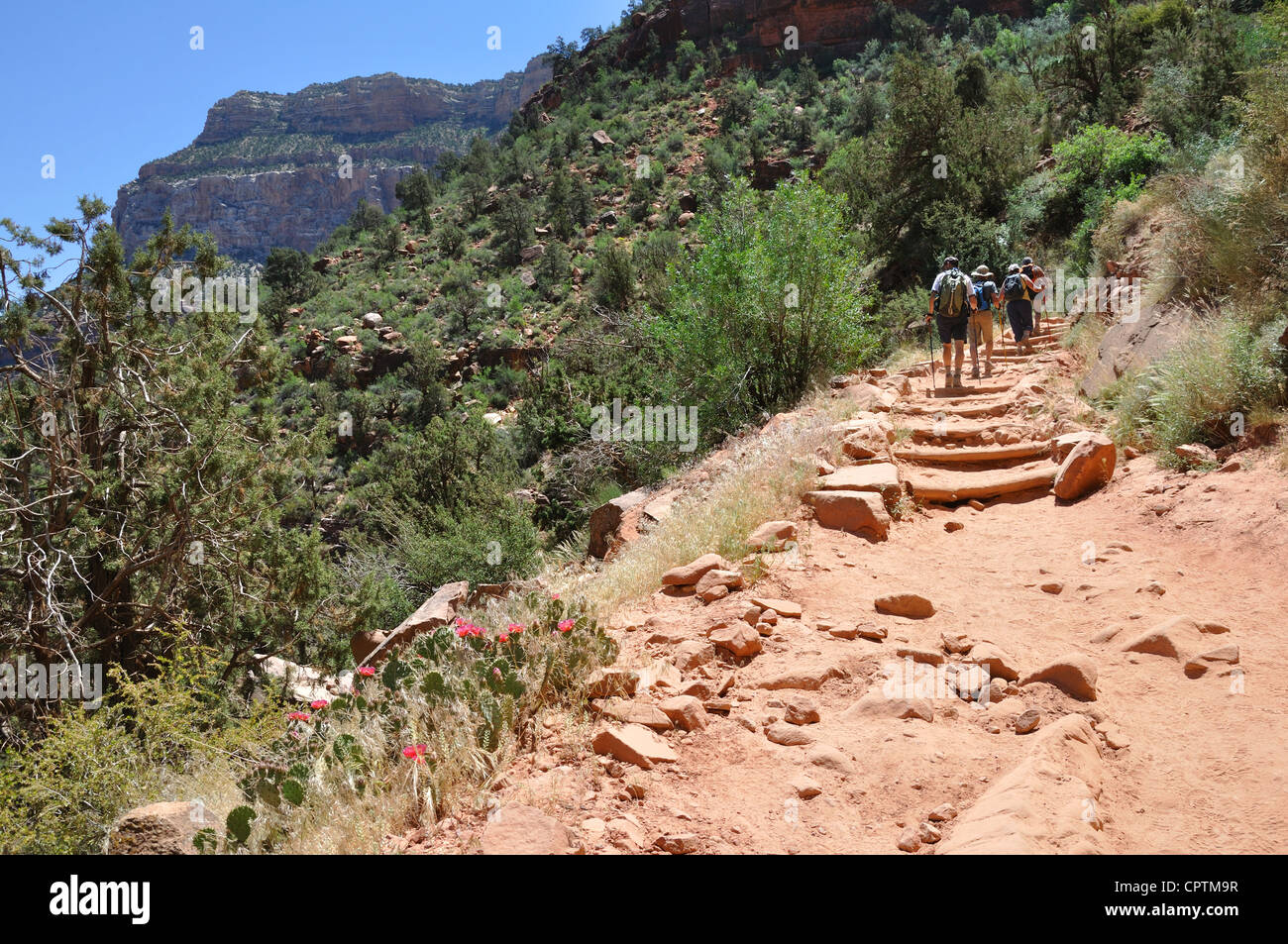Bright Angel trail, Grand Canyon, Arizona, USA Stock Photo - Alamy