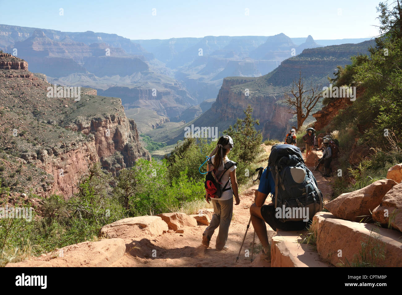 Bright Angel trail, Grand Canyon, Arizona, USA Stock Photo - Alamy