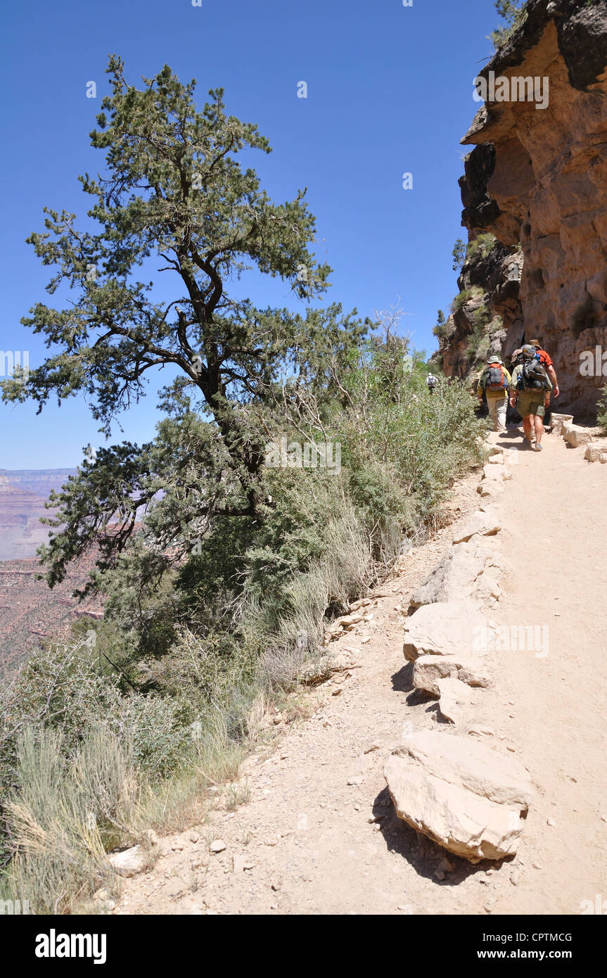 Bright Angel trail, Grand Canyon, Arizona, USA Stock Photo - Alamy