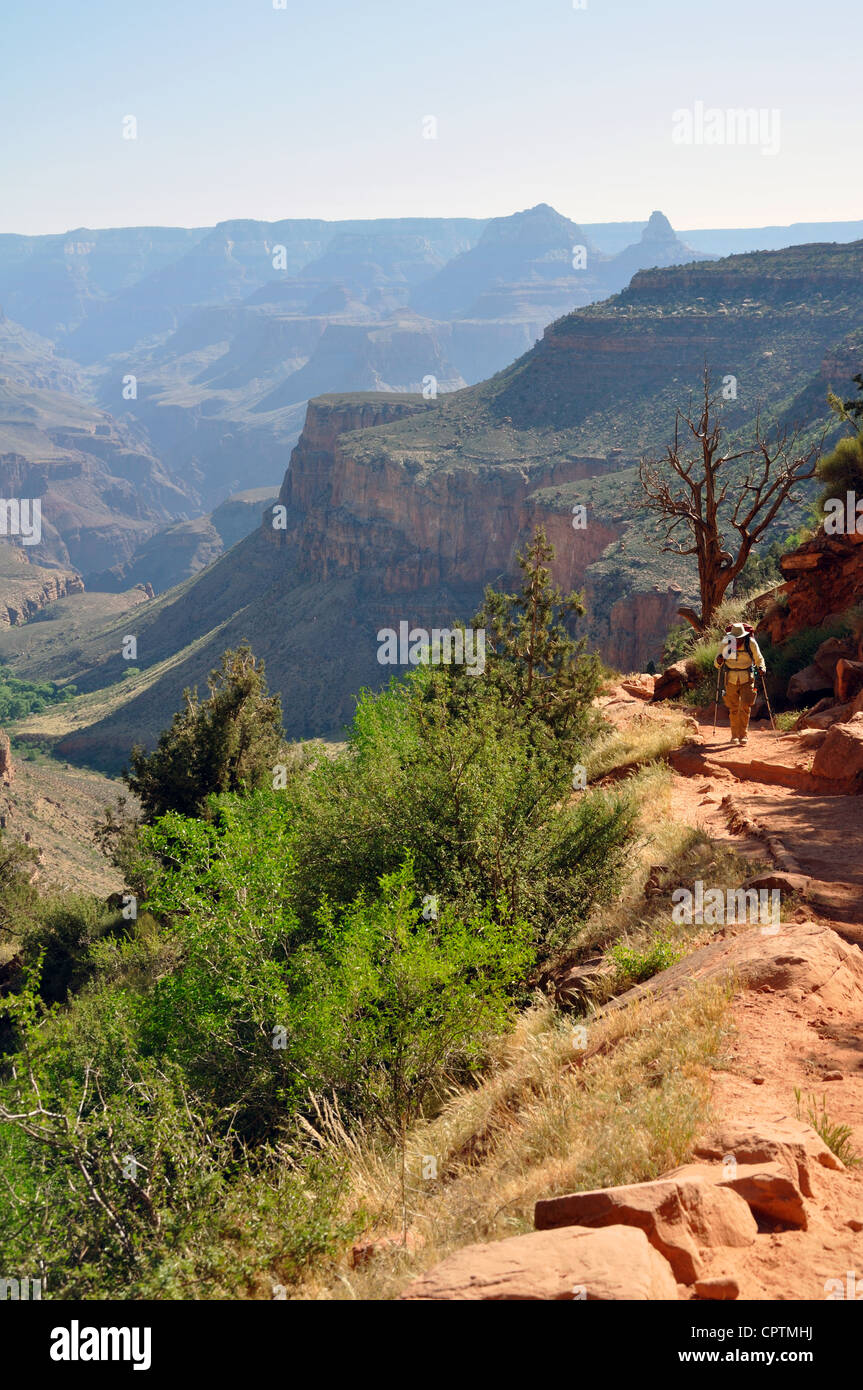 Hiking along Bright Angel Trail, Grand Canyon, Arizona, USA Stock Photo ...