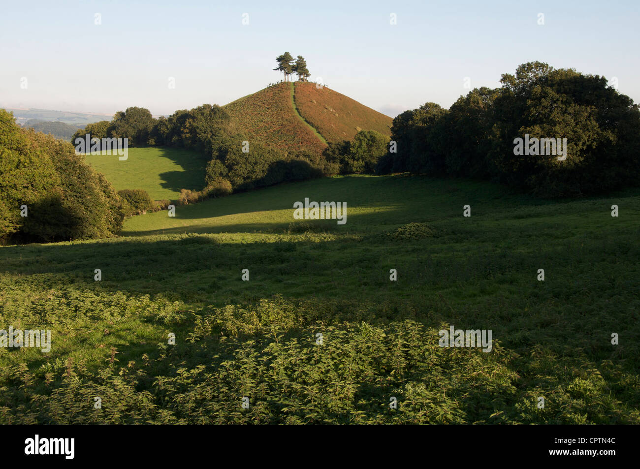 Colmer’s Hill in the evening: This modest but distinctive hill has ...