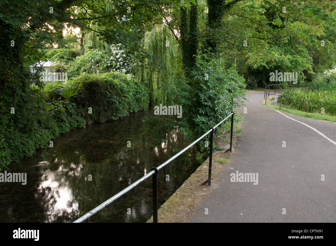Trees overhang a quiet footpath beside the Mill Stream river walk in ...