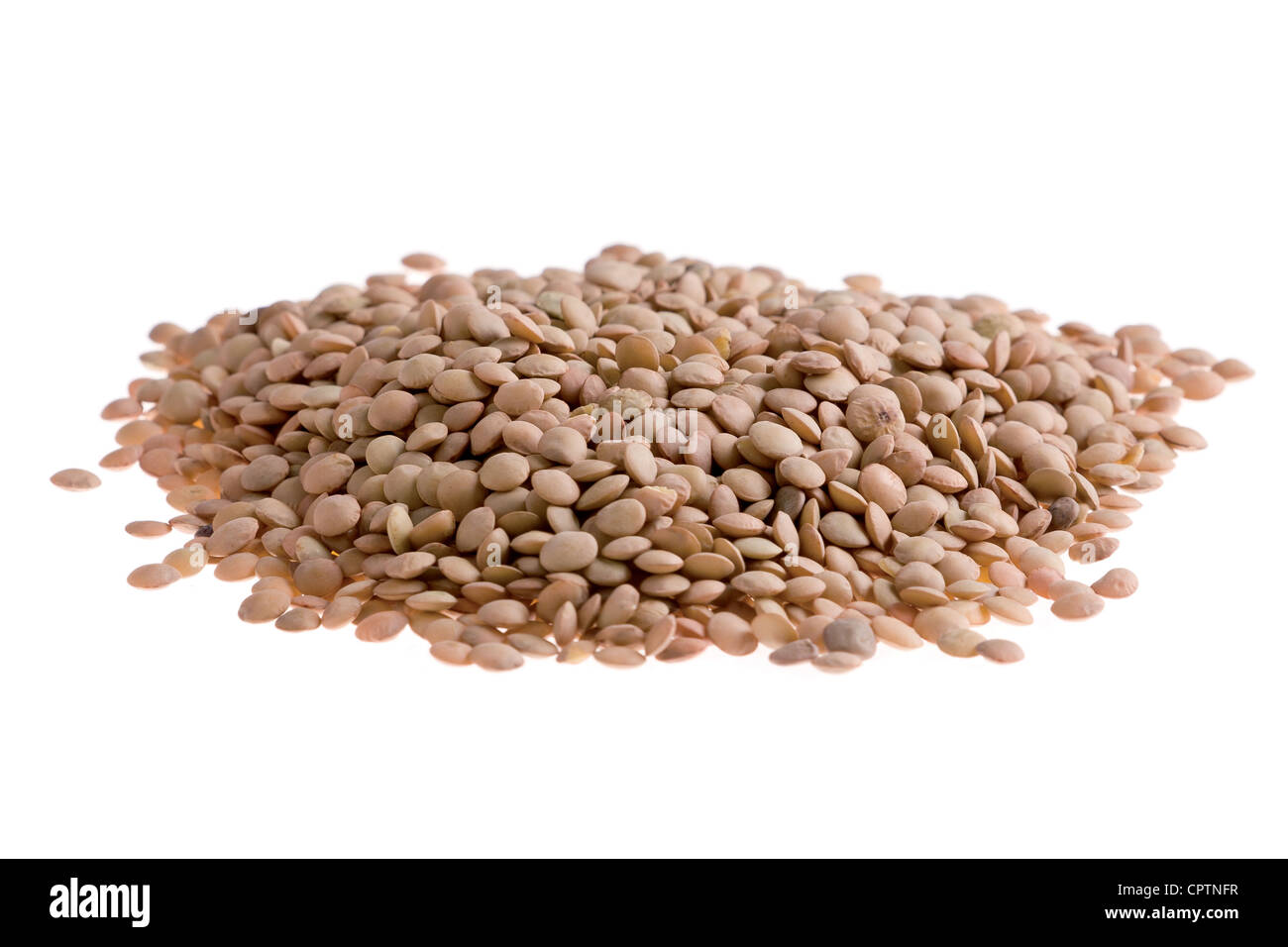Lentils on white background Stock Photo - Alamy