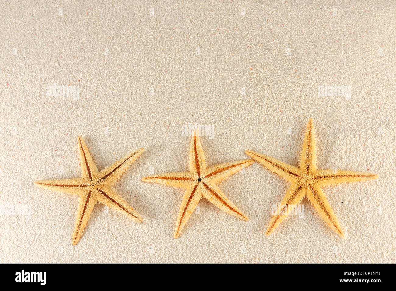 Three starfish on the sand of the beach Stock Photo - Alamy