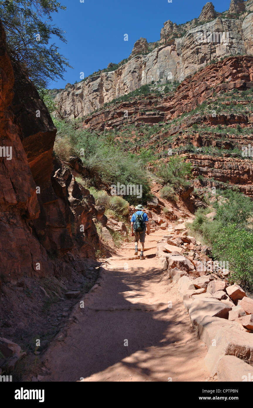 Bright Angel trail, Grand Canyon, Arizona, USA Stock Photo - Alamy