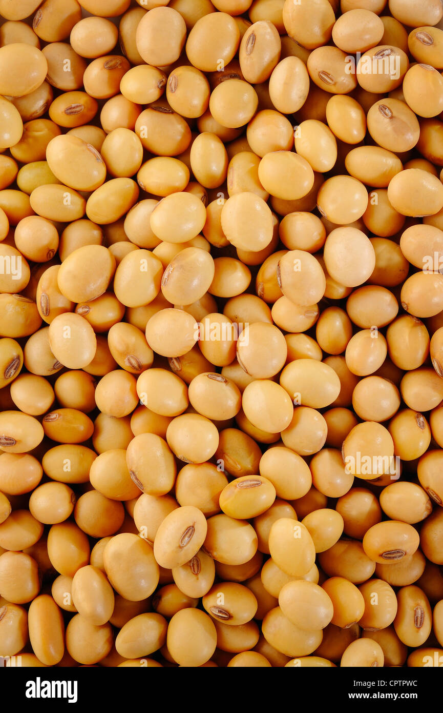 Soybean seed hi-res stock photography and images - Alamy