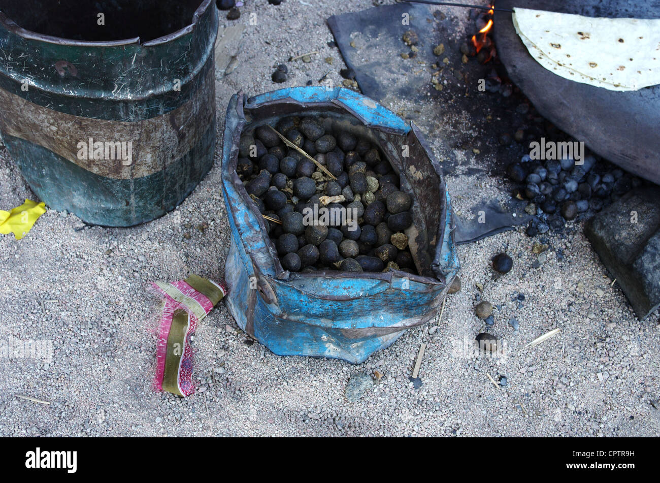 Camel manure to fuel a fire for cooking Bedouins, Egypt, Africa Stock ...