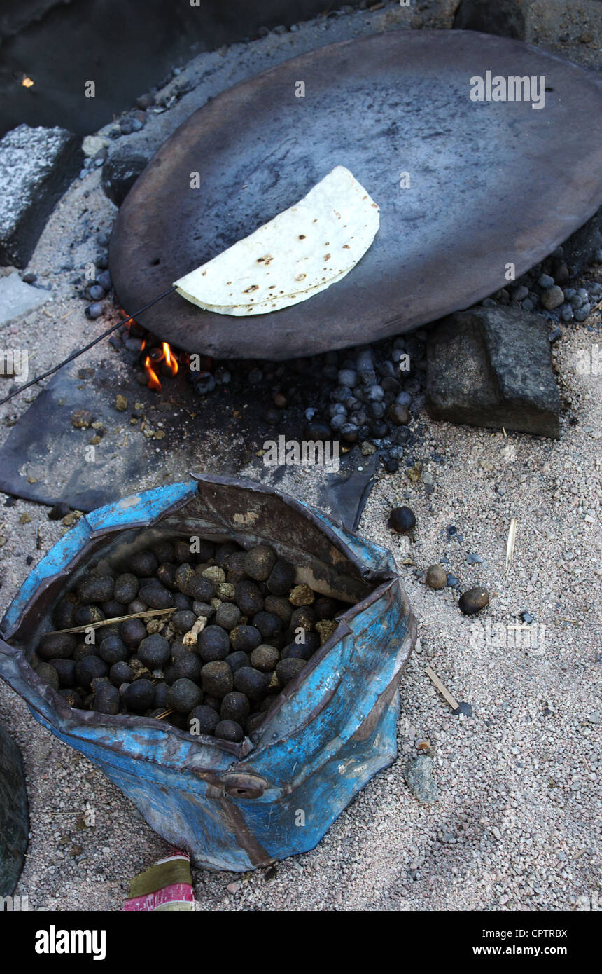 Camel manure hi-res stock photography and images - Alamy