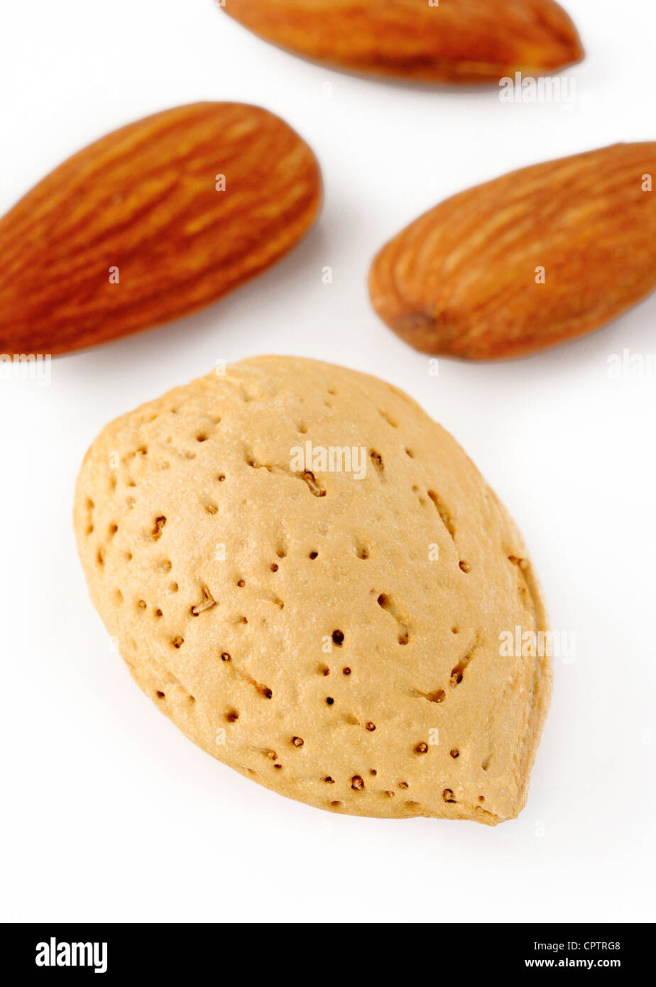 Almond with shell hi-res stock photography and images - Alamy