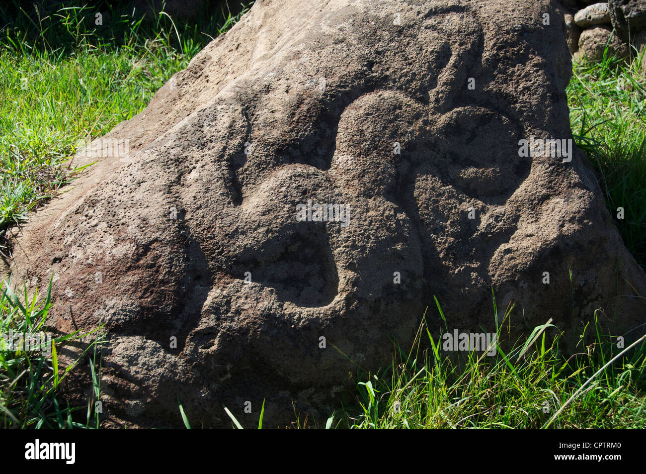 Birdman Petroglyph Orongo Village Easter Island Chile Stock Photo - Alamy