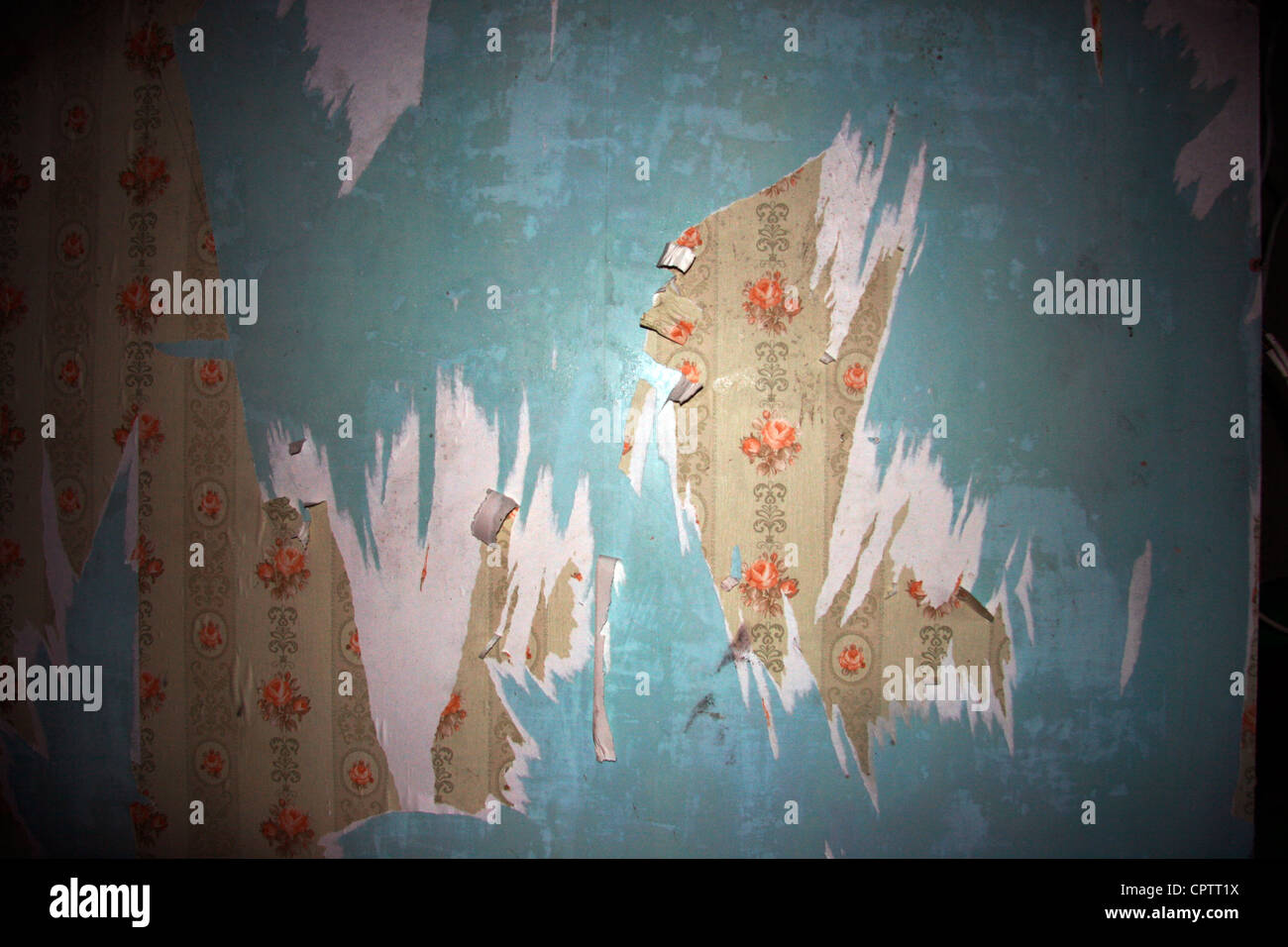 Torn wallpaper revealing an older pattern underneath Stock Photo - Alamy