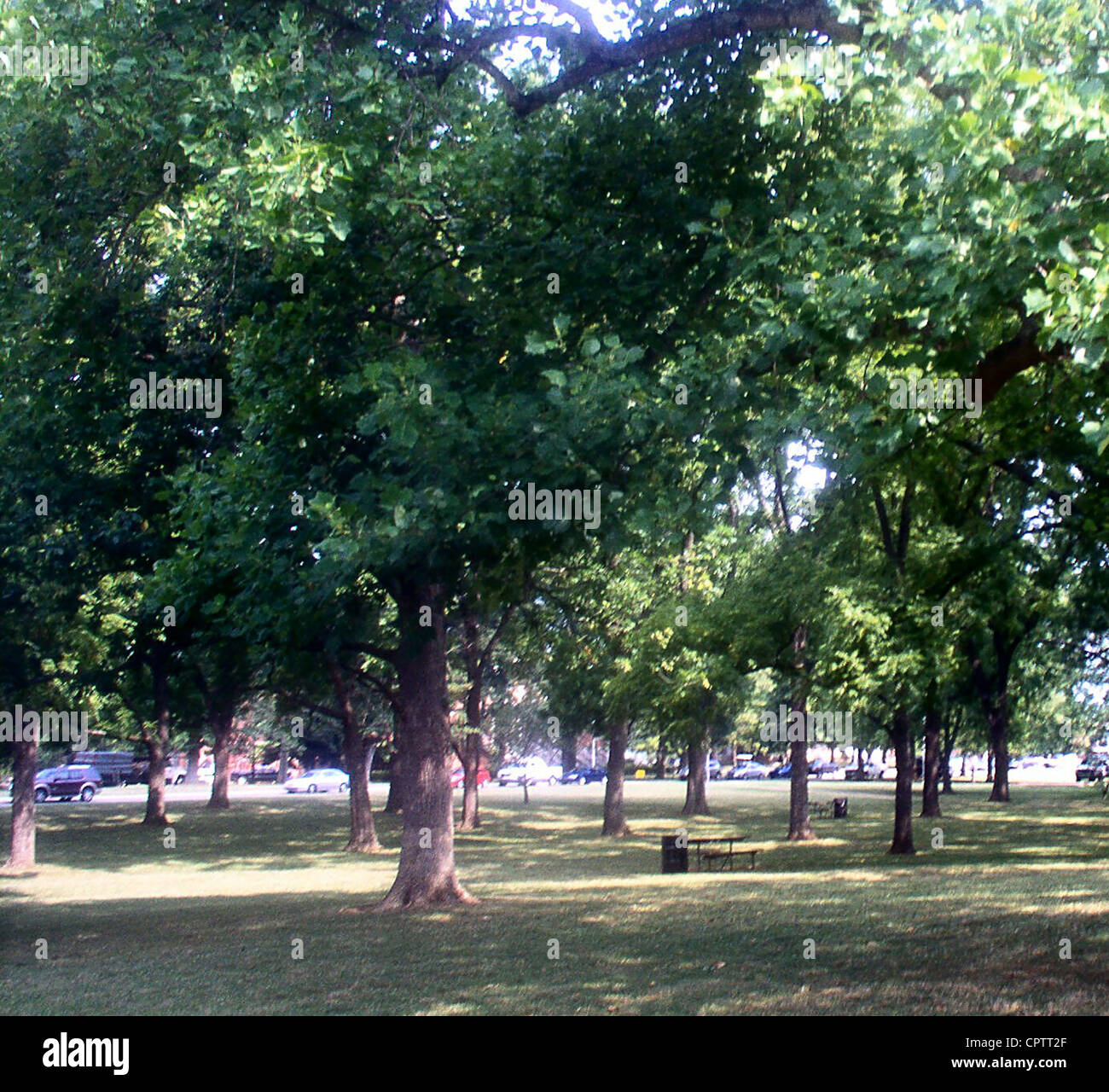 Walnut Grove on the campus of Middle Tennessee State University Stock ...