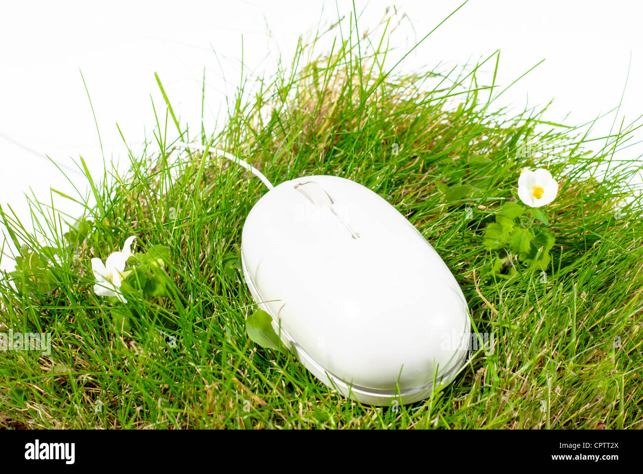 computer mouse on lawn Stock Photo - Alamy
