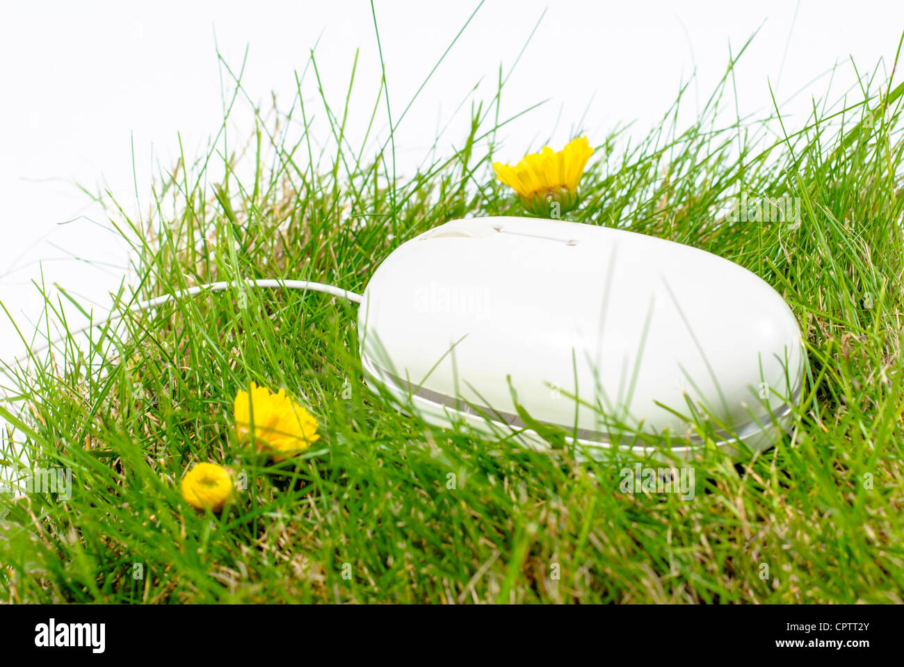 computer mouse on lawn Stock Photo - Alamy