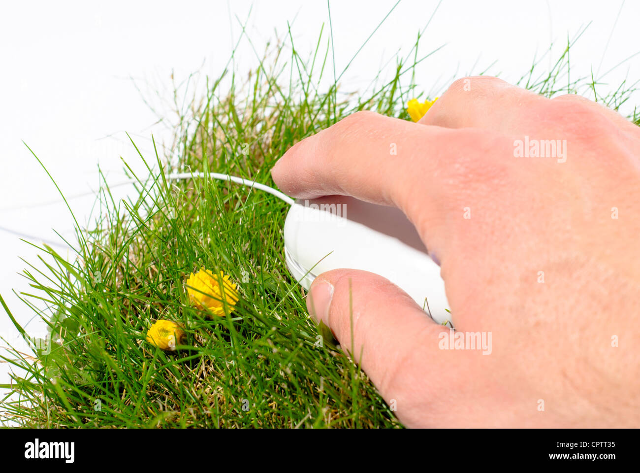 computer mouse on lawn Stock Photo - Alamy