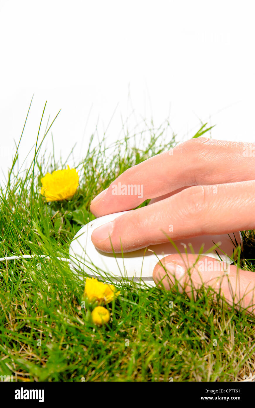 computer mouse on lawn Stock Photo - Alamy