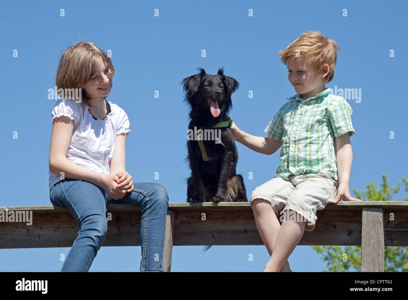 portrait of two children and their dog Stock Photo - Alamy