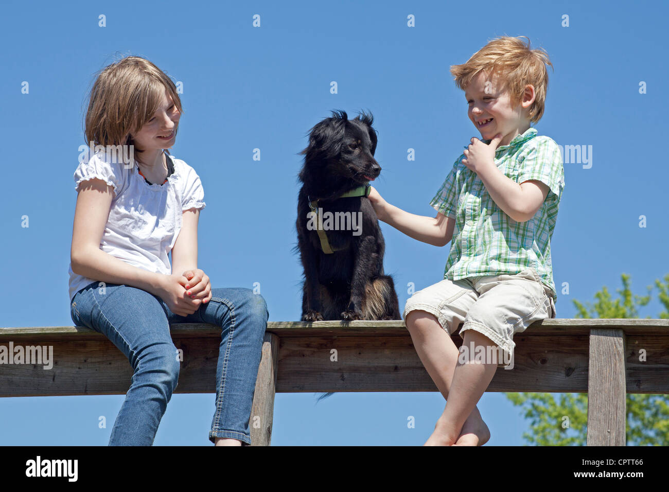 portrait of two children and their dog Stock Photo - Alamy
