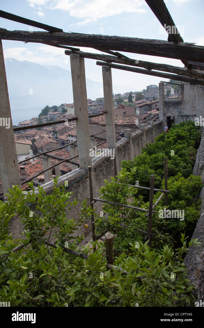 Limone as viewed from the Lemon Castle (Limone Castello) , Limone Lake ...