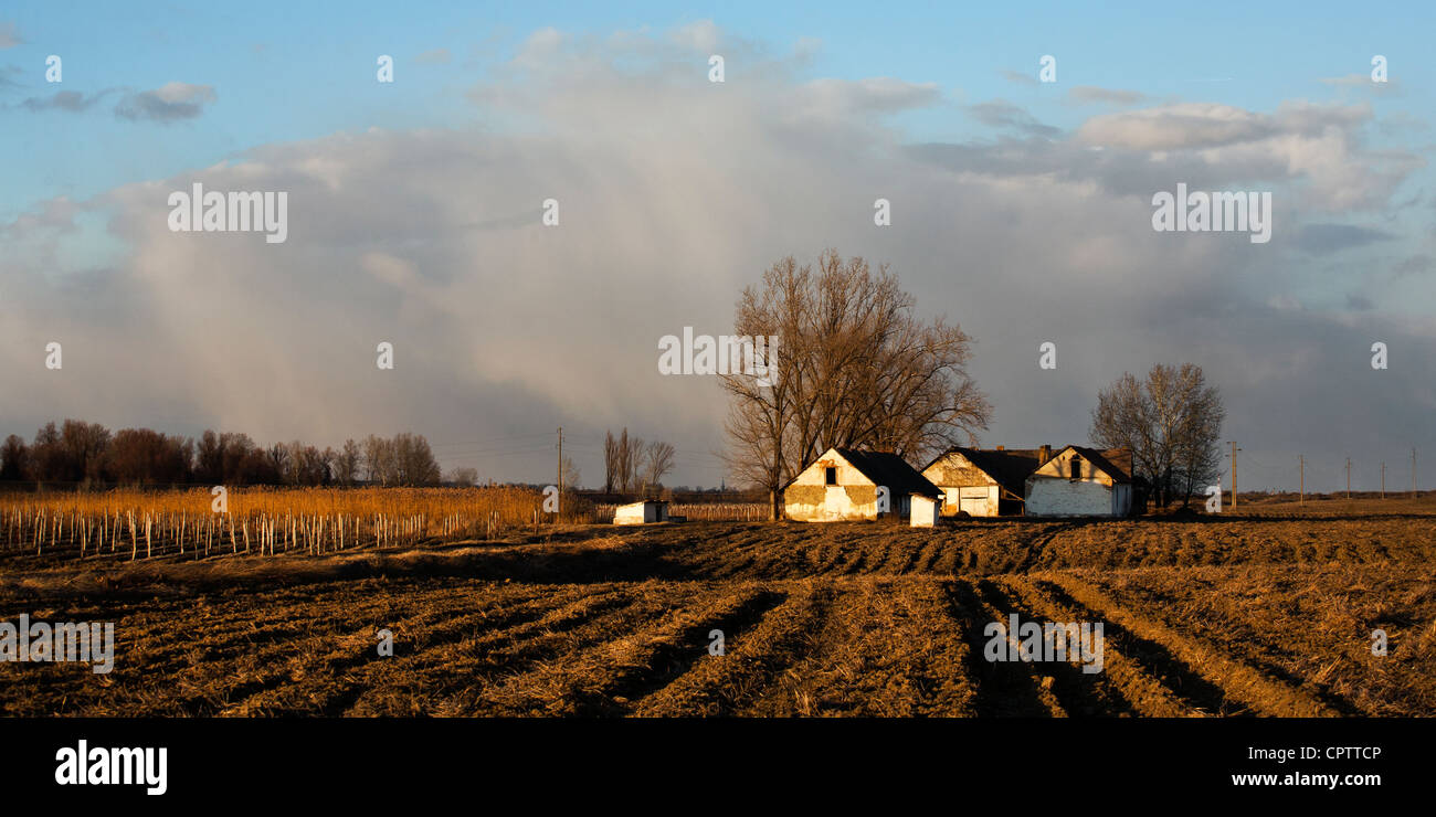Farm in a field in Serbia Stock Photo - Alamy