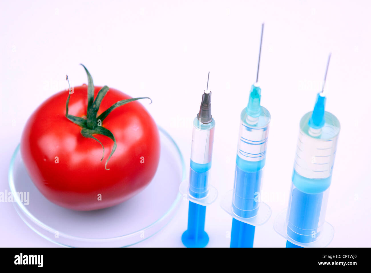 Genetically modified fruits and vegetables Stock Photo - Alamy