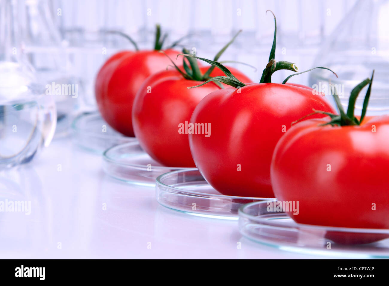 Genetically modified fruits and vegetables Stock Photo - Alamy