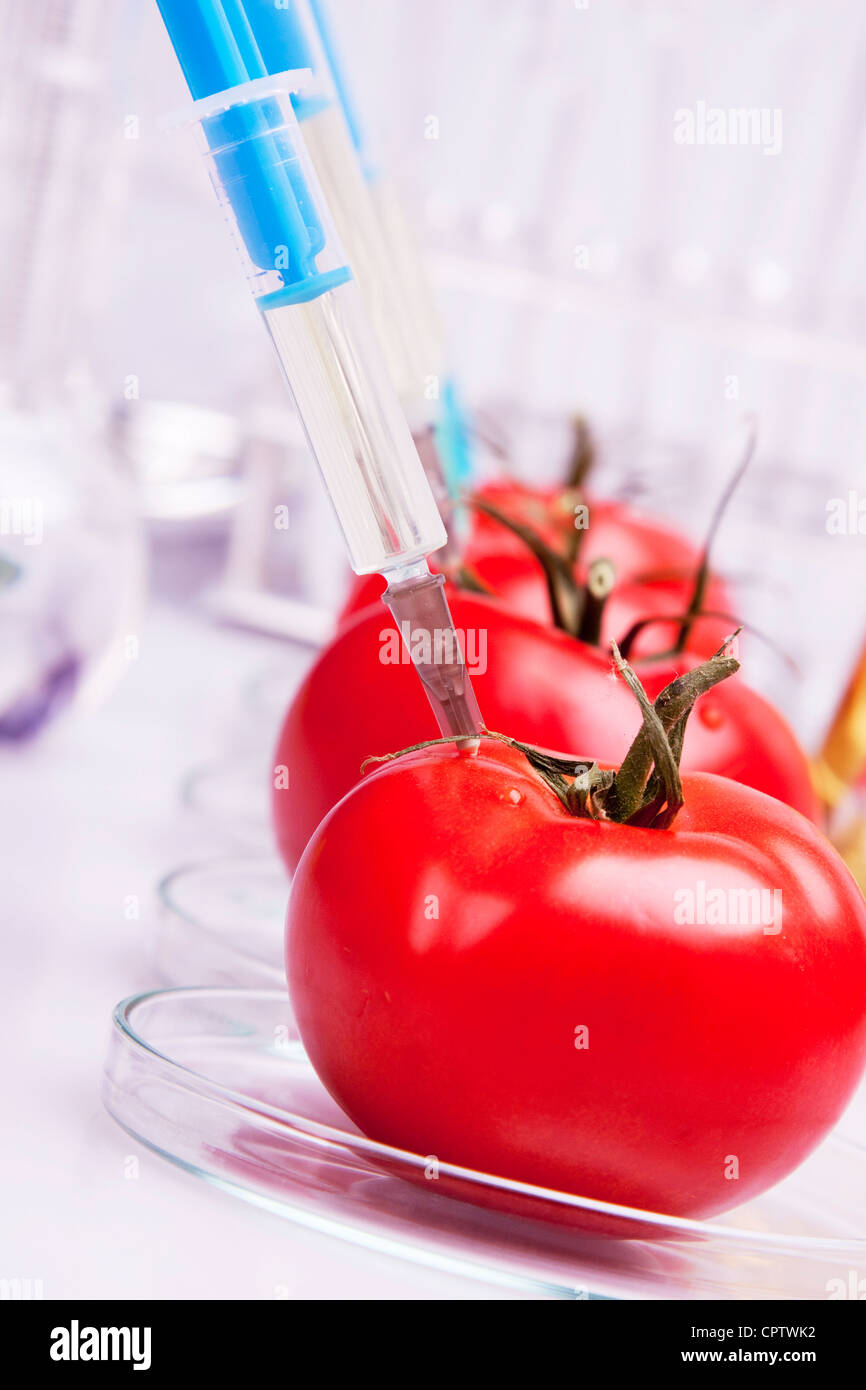 Genetically modified fruits and vegetables Stock Photo - Alamy