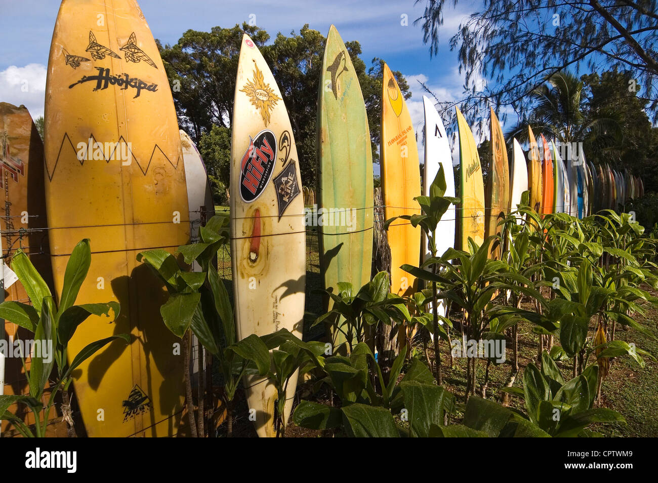 Surfboard fence hi-res stock photography and images - Alamy