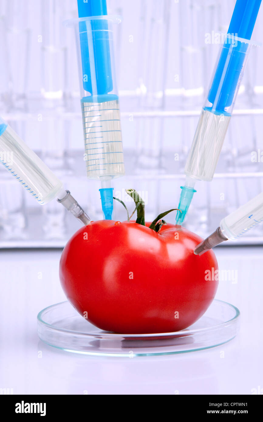 Genetically modified fruits and vegetables Stock Photo - Alamy