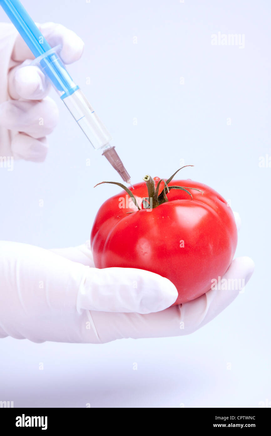 Genetically modified fruits and vegetables Stock Photo - Alamy