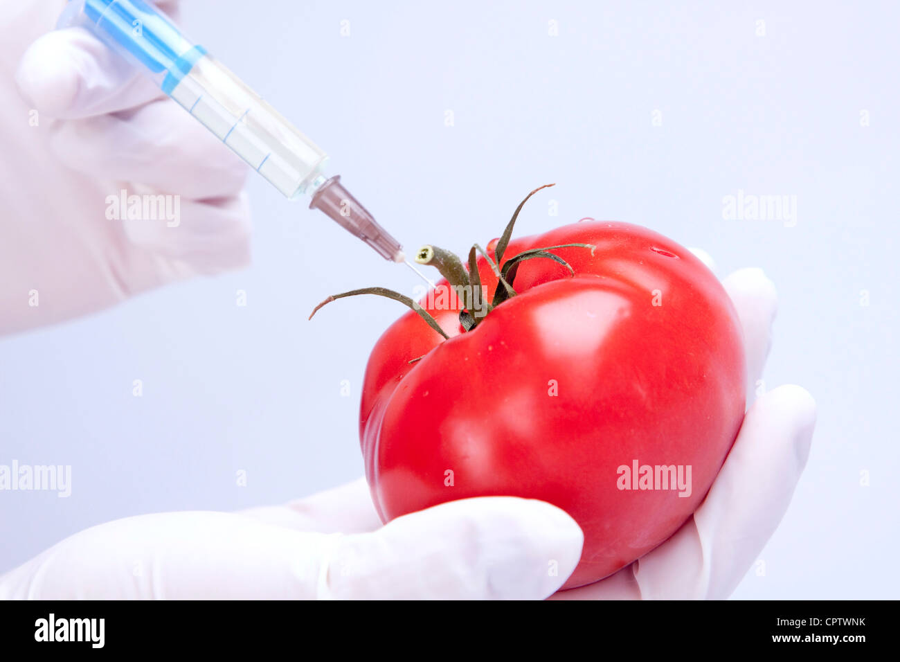 Genetically modified fruits and vegetables Stock Photo - Alamy