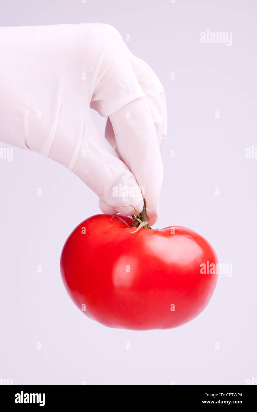 Sterids High Resolution Stock Photography and Images - Alamy