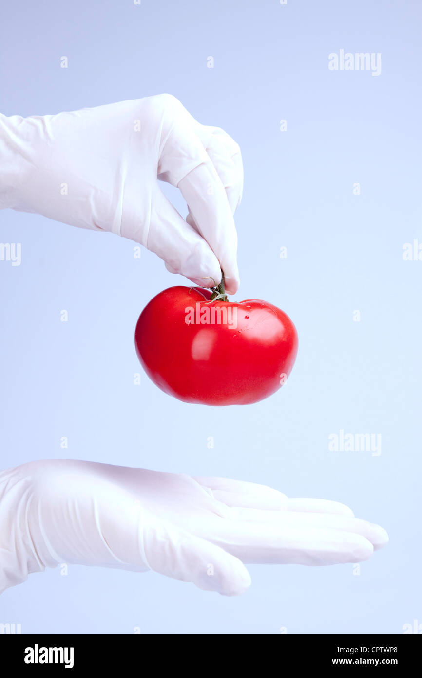 Genetically modified fruits and vegetables Stock Photo - Alamy