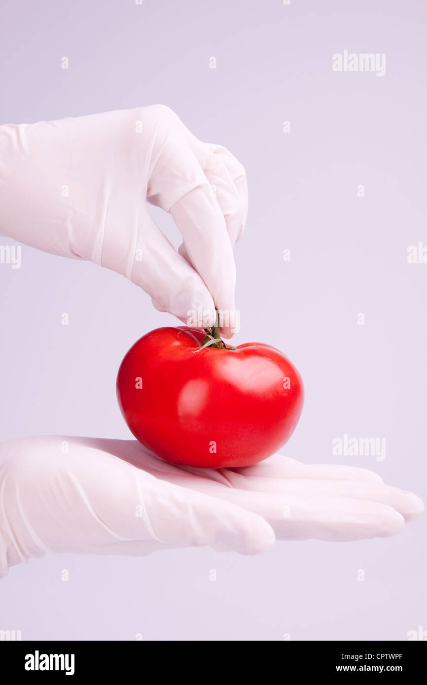 Genetically modified fruits and vegetables Stock Photo - Alamy