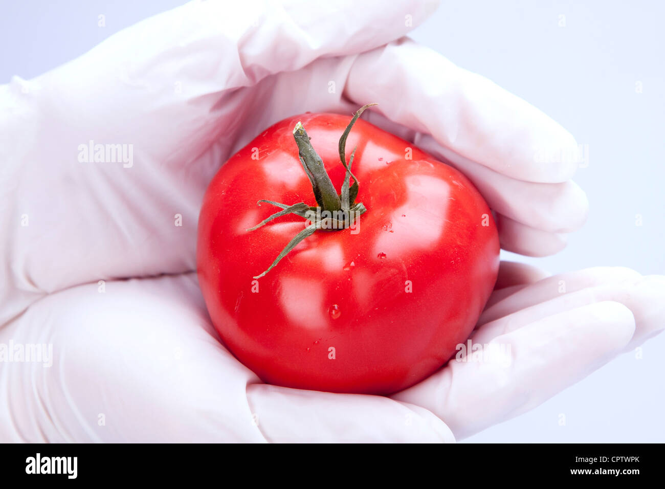 Genetically modified fruits and vegetables Stock Photo - Alamy
