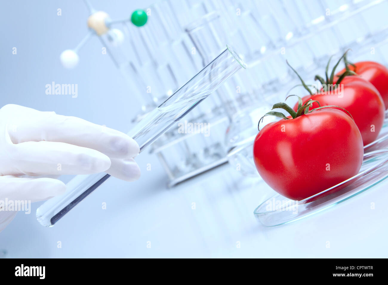 Genetically modified fruits and vegetables Stock Photo - Alamy
