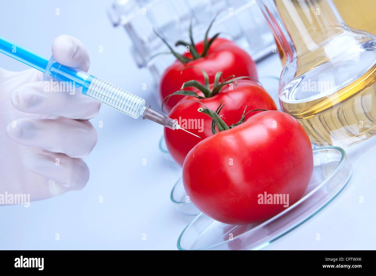 Genetically modified fruits and vegetables Stock Photo - Alamy