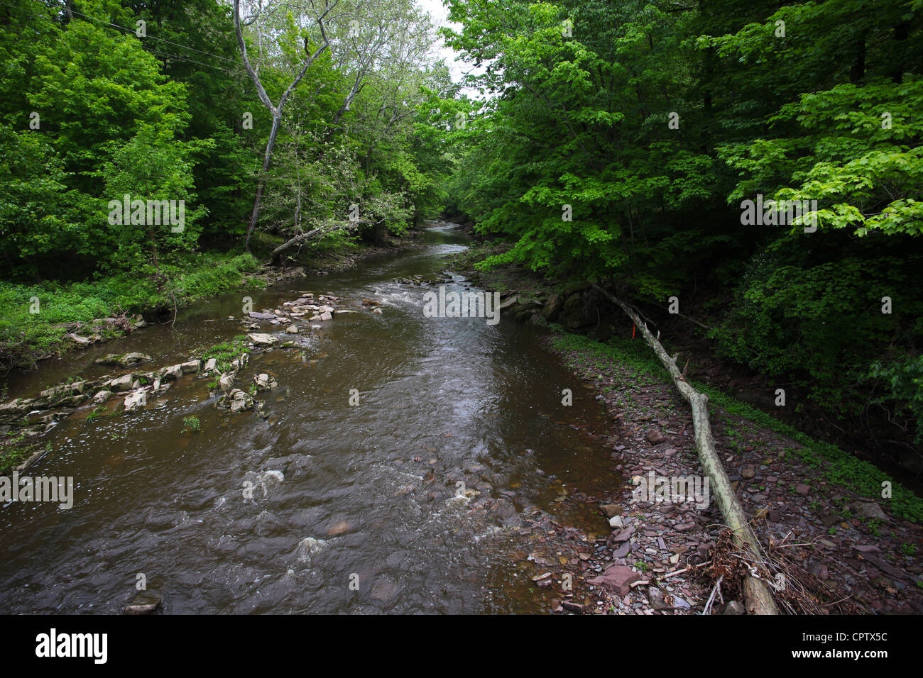 Stream pebbles river water hi-res stock photography and images - Alamy
