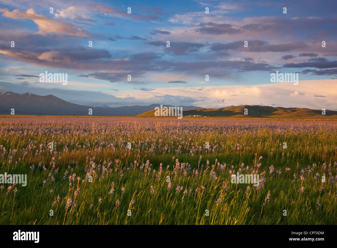 Camas County, Idaho Centennial Marsh Camas Prairie Evening clouds over ...