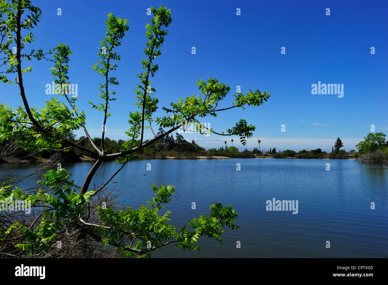 Recharge ponds hi-res stock photography and images - Alamy