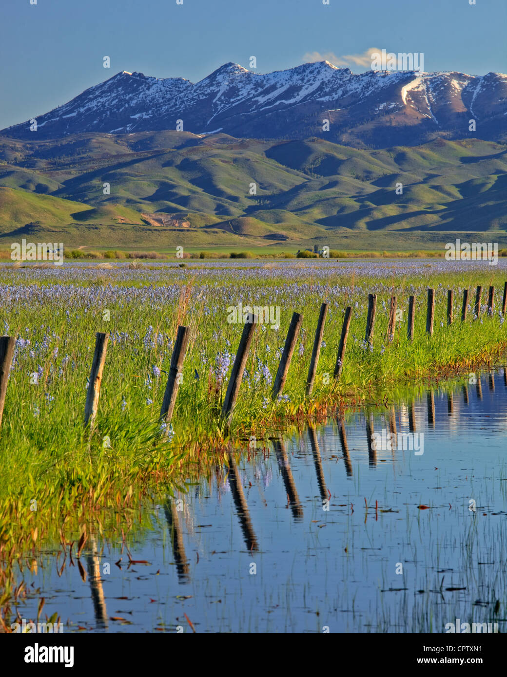 Camas County, Idaho Centennial Marsh Camas Prairie with fence line and ...