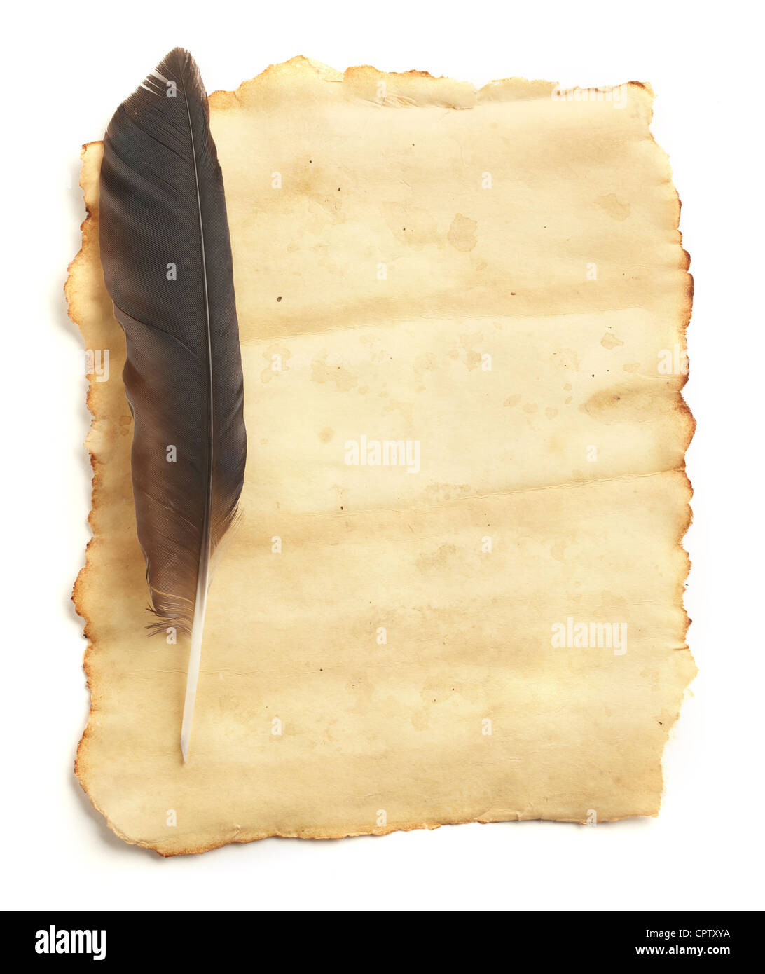 Quill pen vintage paper hi-res stock photography and images - Alamy