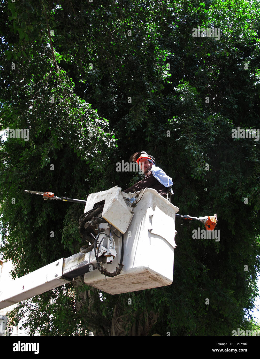 Fork of a tree branch hi-res stock photography and images - Alamy