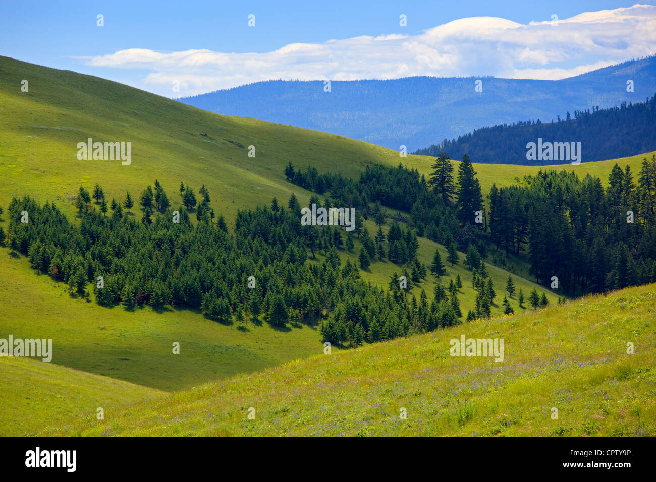 National Bison Range Wildlife Refuge Rolling prairie hillsides folded ...
