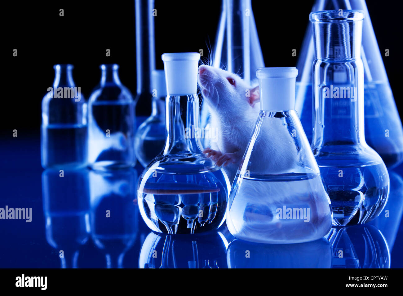 Rat test water hi-res stock photography and images - Alamy